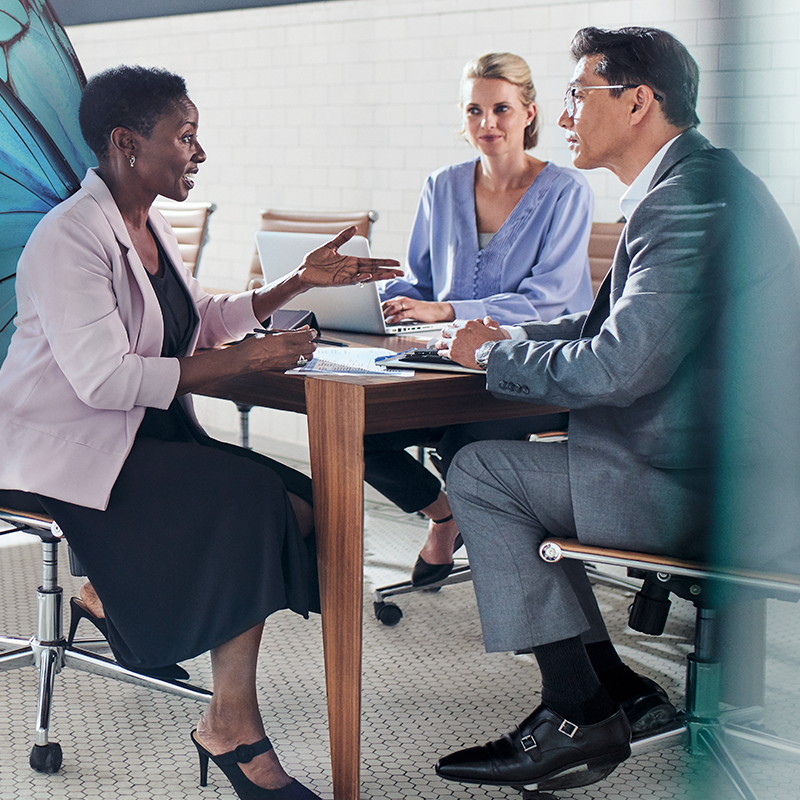 DISC (Técnica Cleaver)